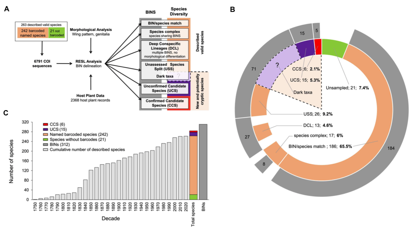 Evaluating DNA Barcoding for species identification and discovery in ...